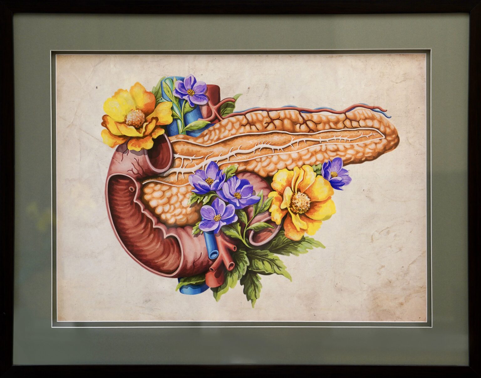 General Endocrinology | Canadian Endocrine Institute